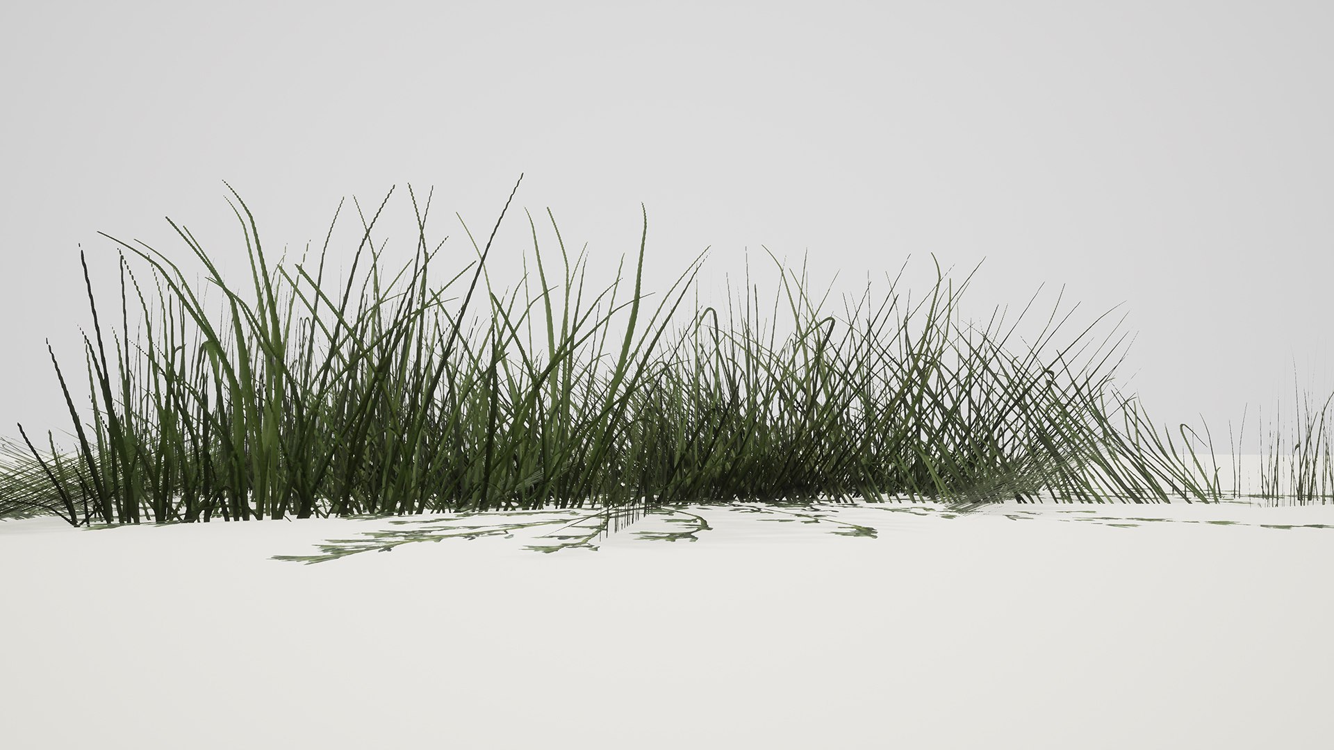 Free 3D Ue4 Grass - TurboSquid 1238094