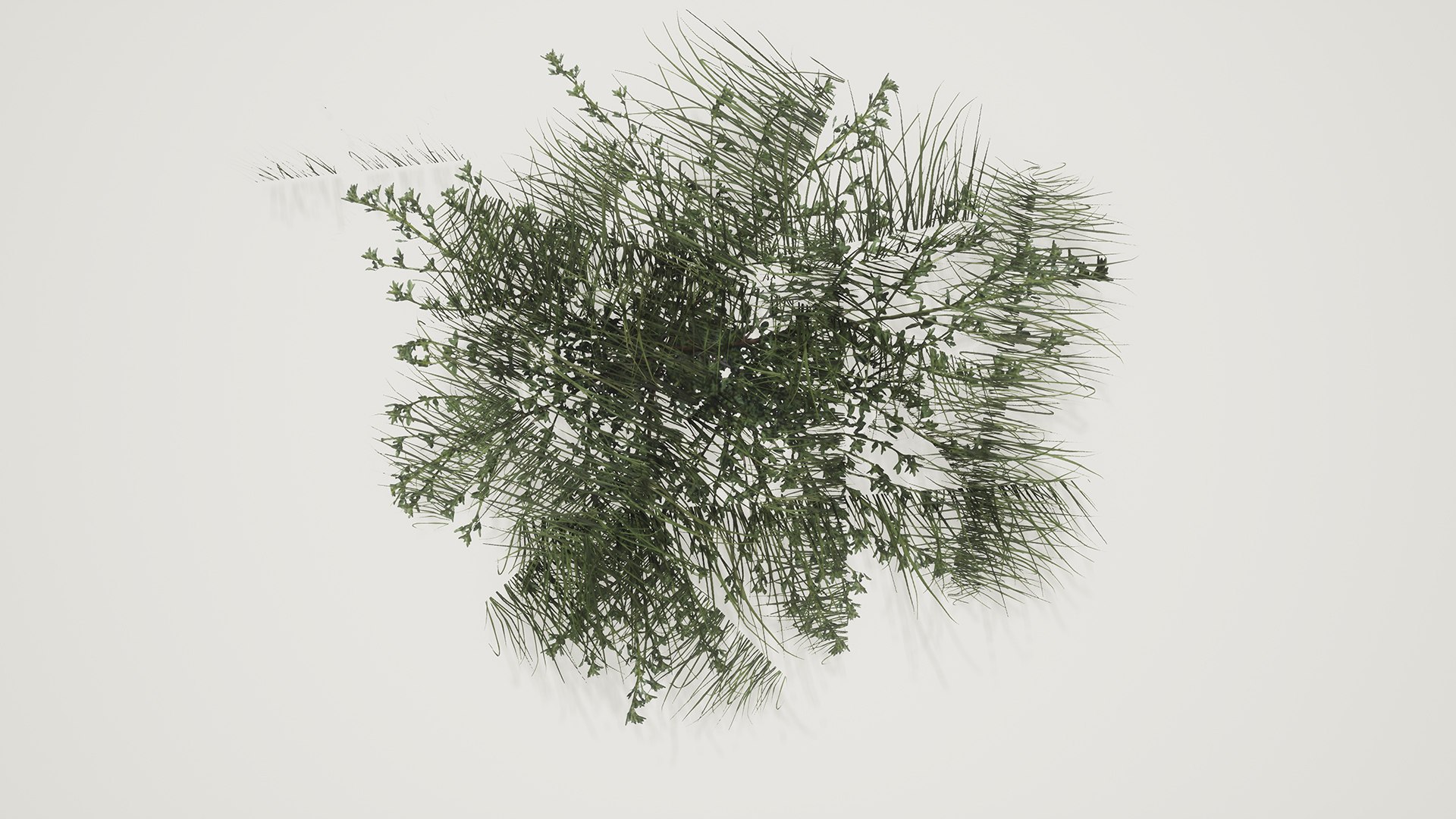 Free 3D Ue4 Grass - TurboSquid 1238094