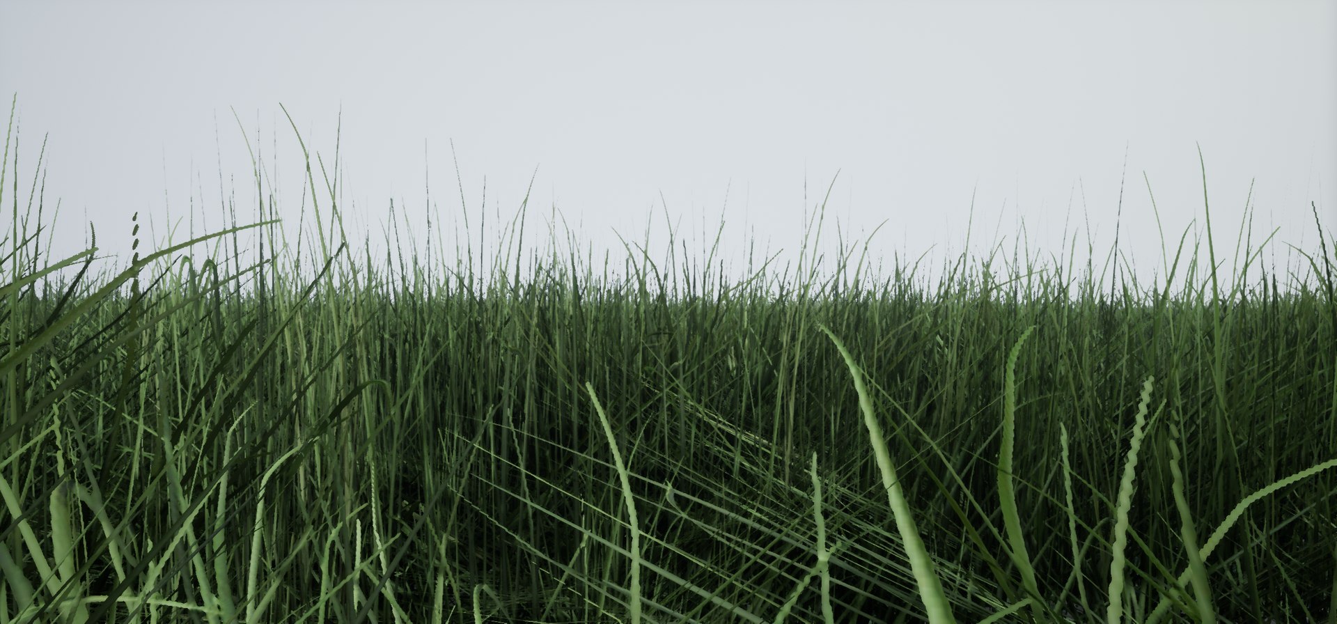 Free 3D Ue4 Grass - TurboSquid 1238094
