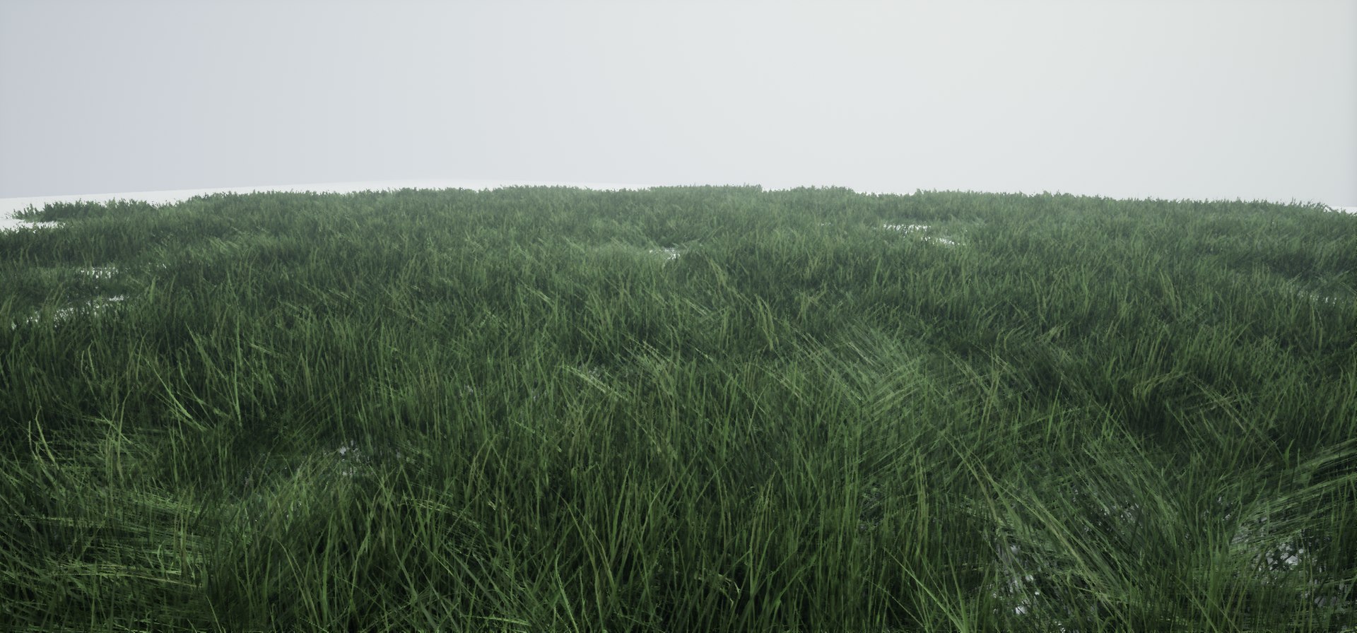 Free 3D Ue4 Grass - TurboSquid 1238094