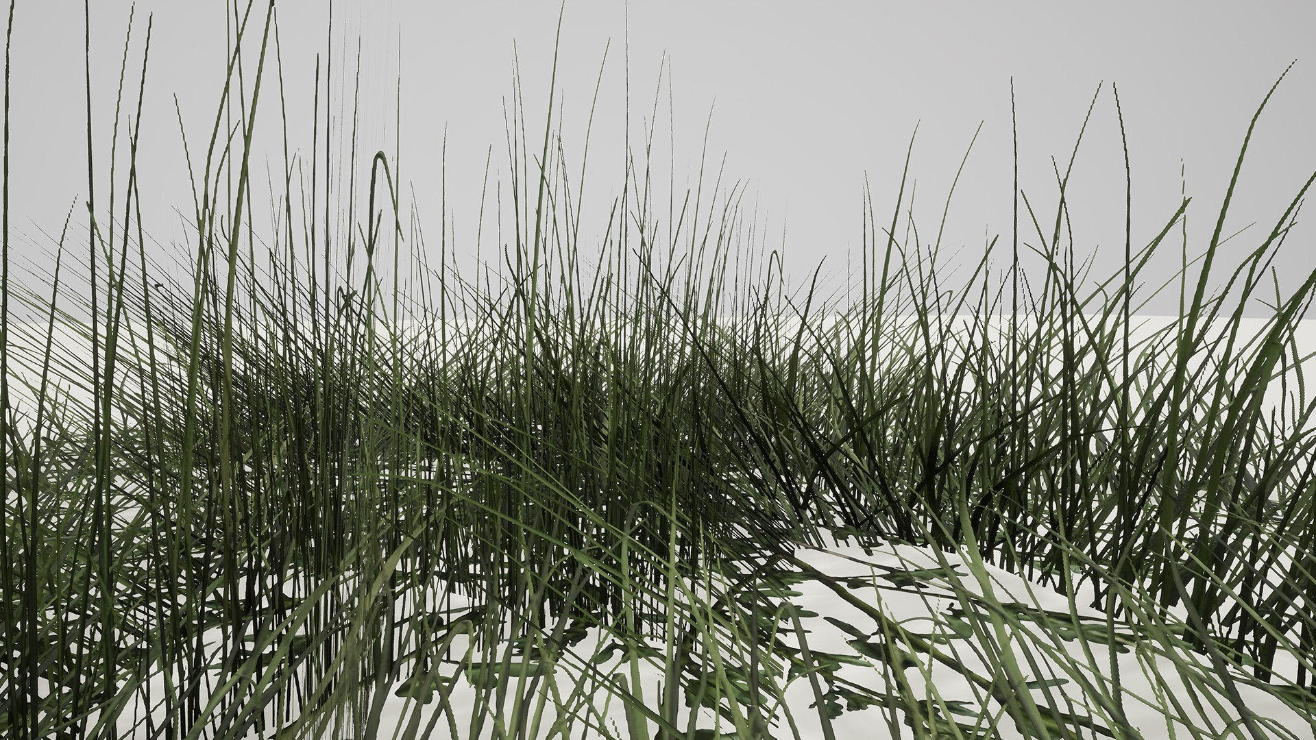 Free 3D Ue4 Grass - TurboSquid 1238094