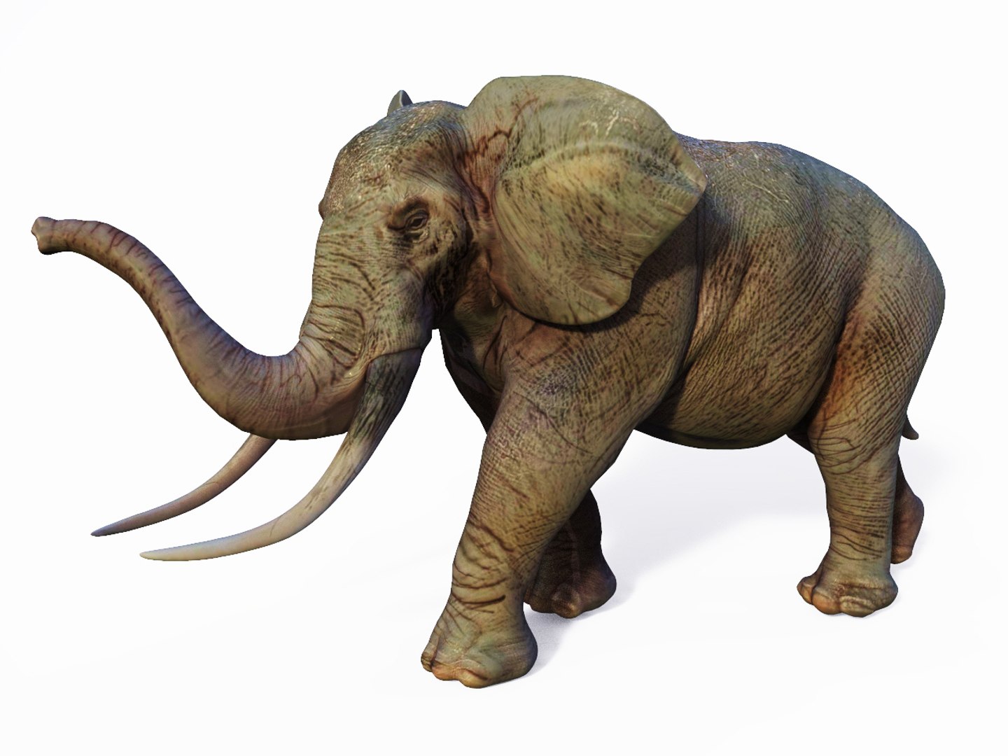 African Elephant 3D Model - TurboSquid 1373366