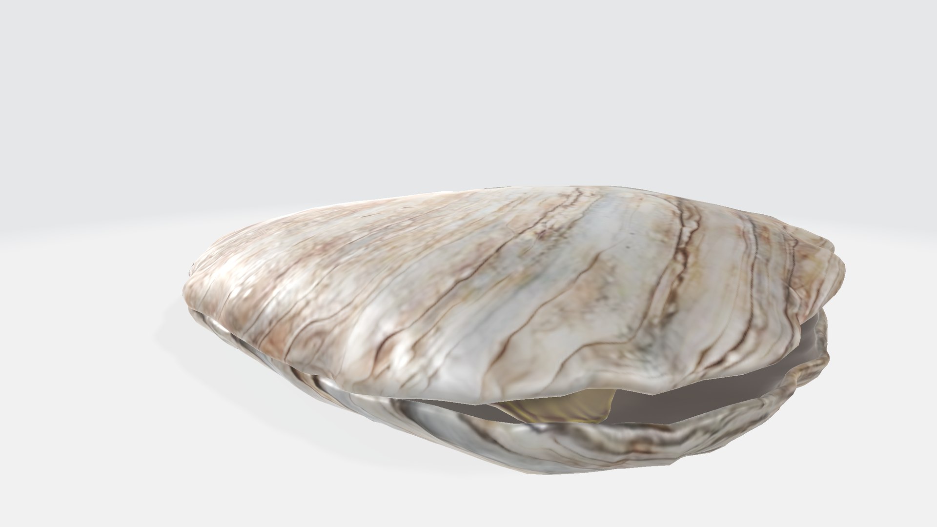 3D Oyster - TurboSquid 2303196