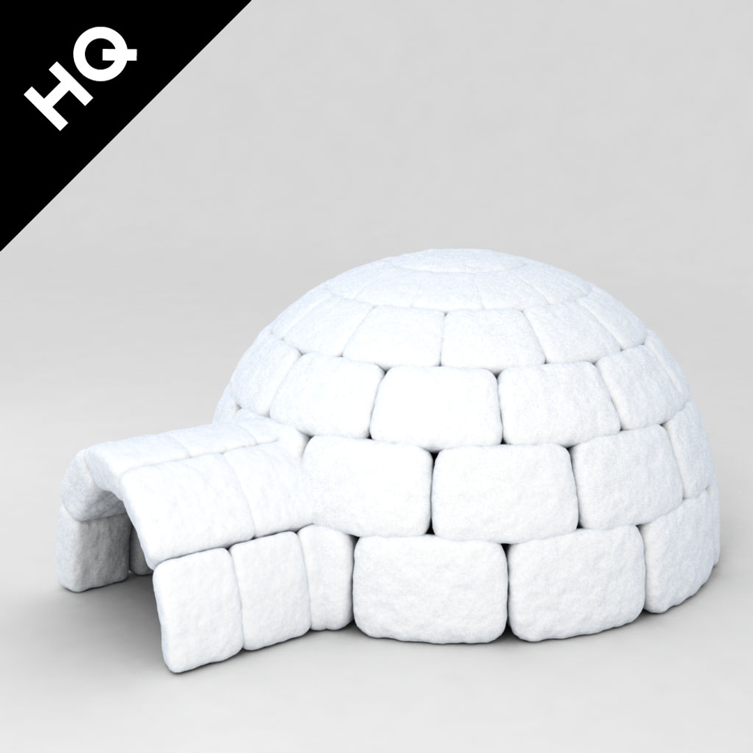 igloo 3d model