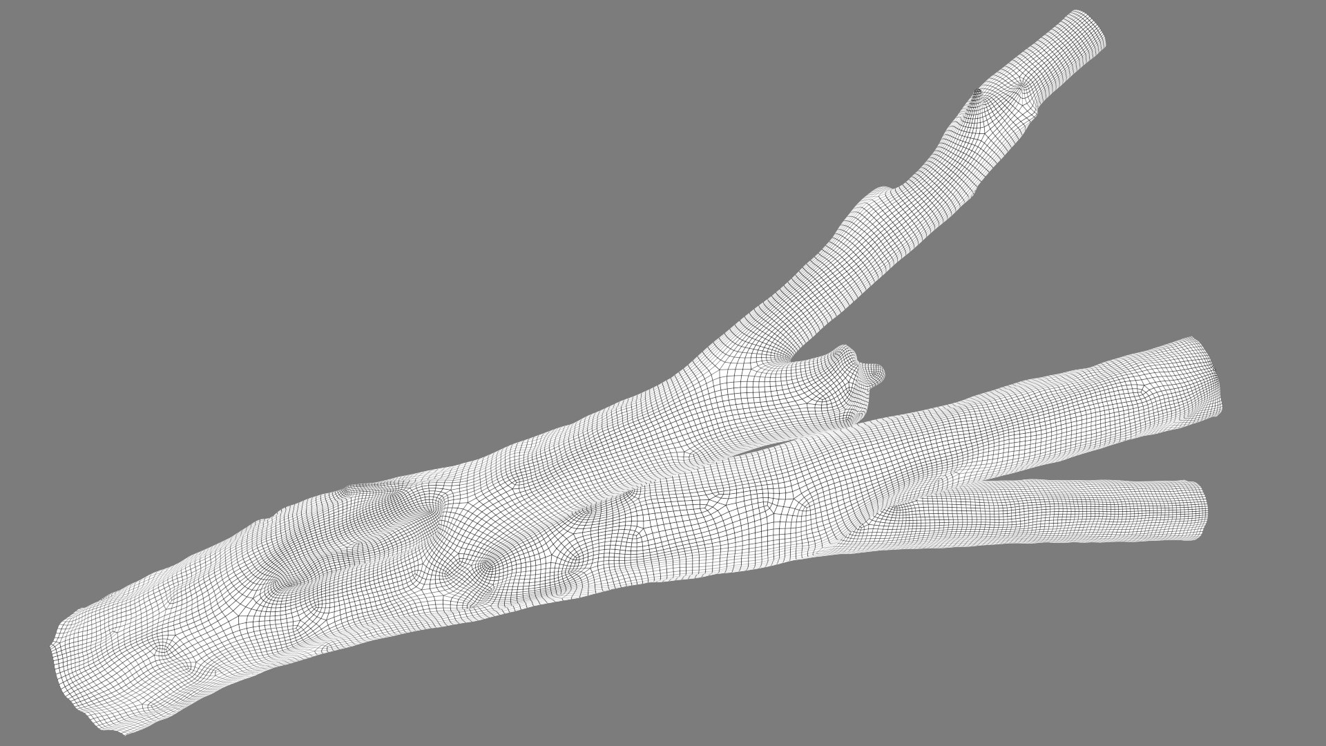 Scanned Tree Trunk 02 3D Model - TurboSquid 2113383