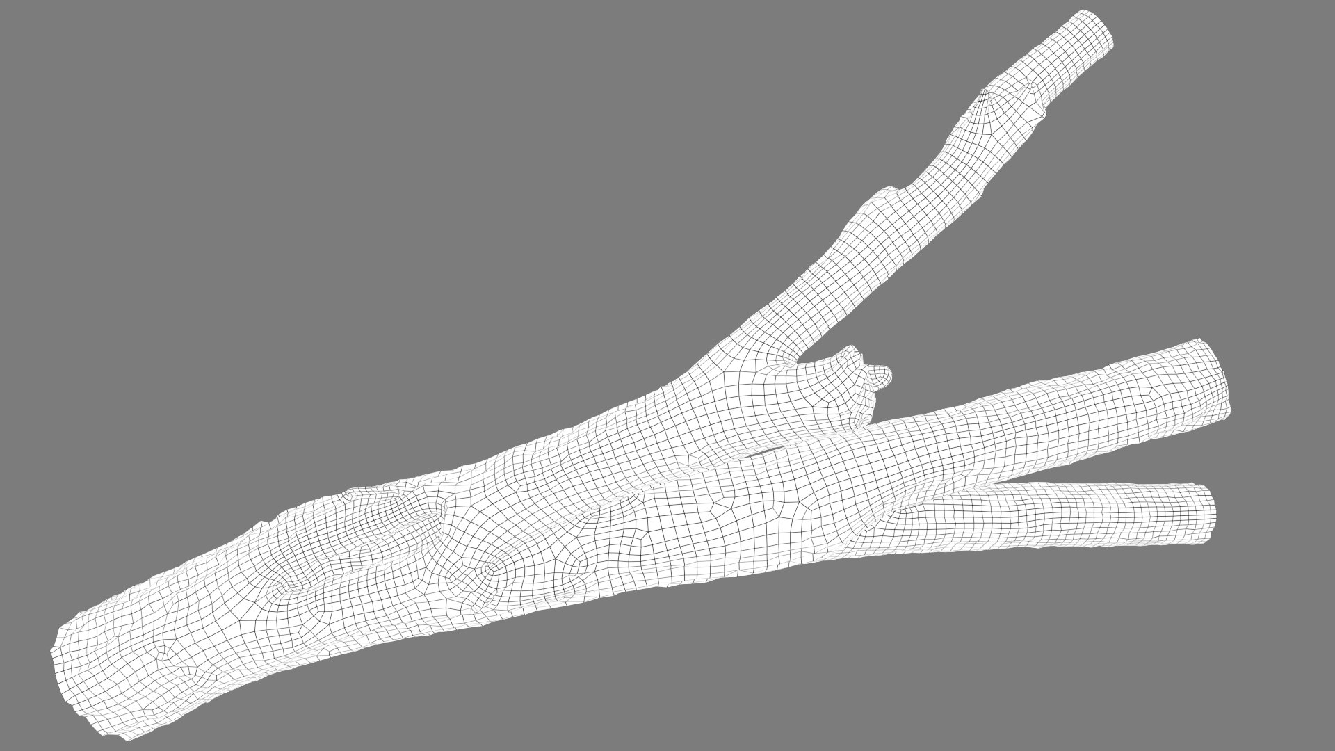 Scanned Tree Trunk 02 3D Model - TurboSquid 2113383