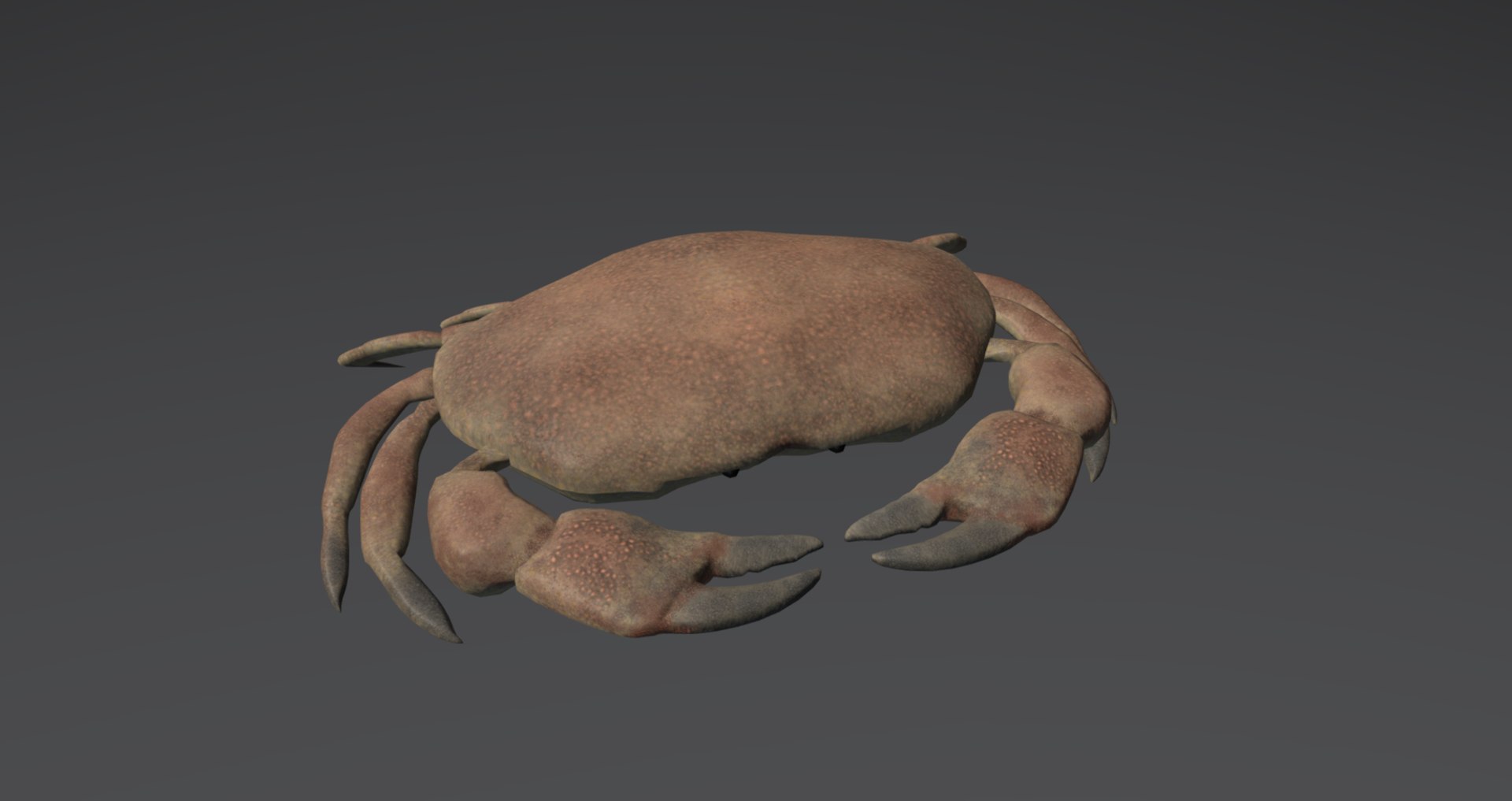 3D Realistic Crab - TurboSquid 1301370