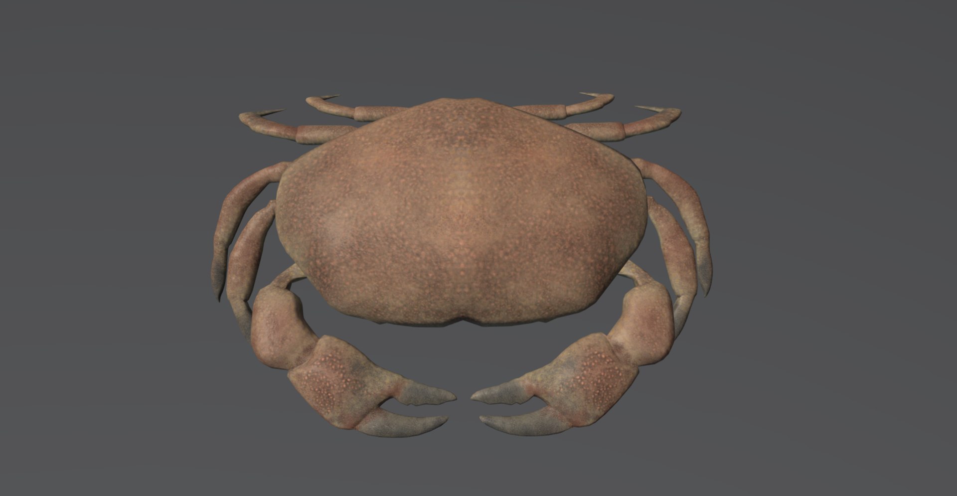3D Realistic Crab - TurboSquid 1301370