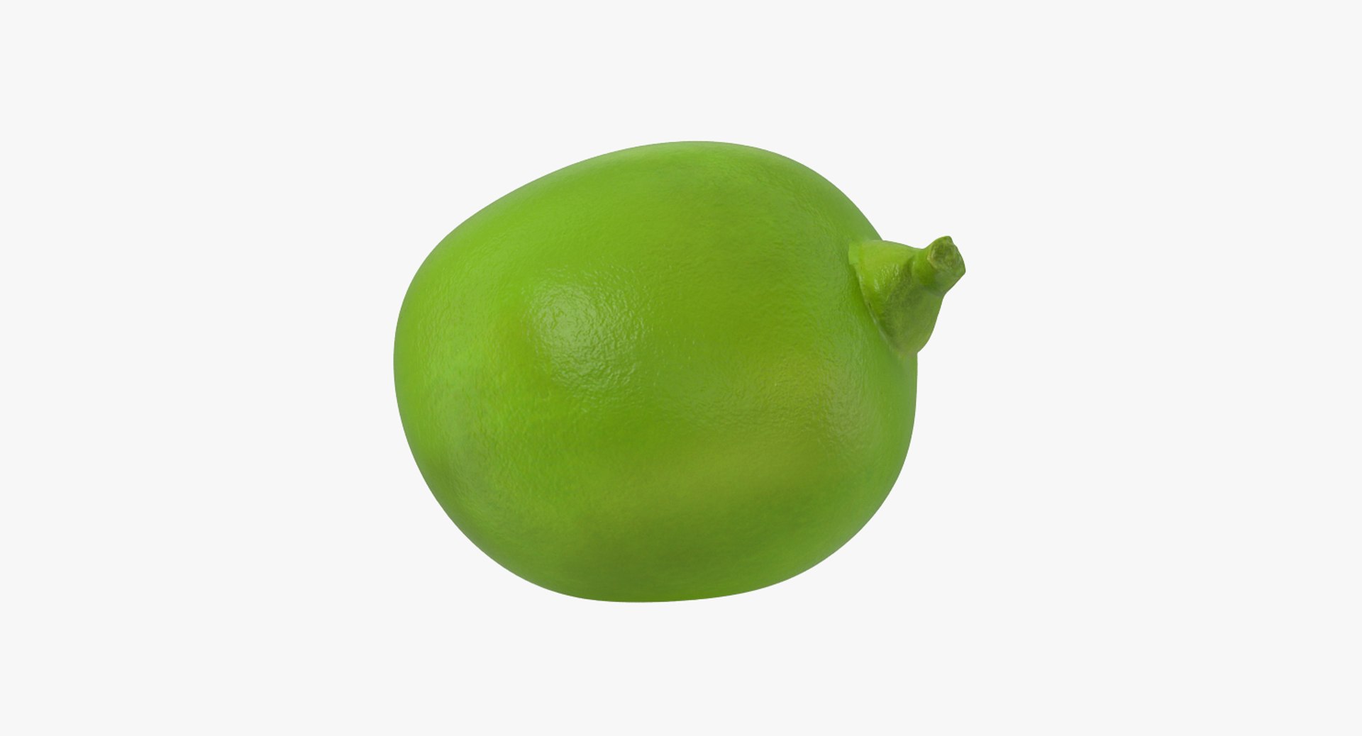 Single Green Pea 3D Model - TurboSquid 1226674