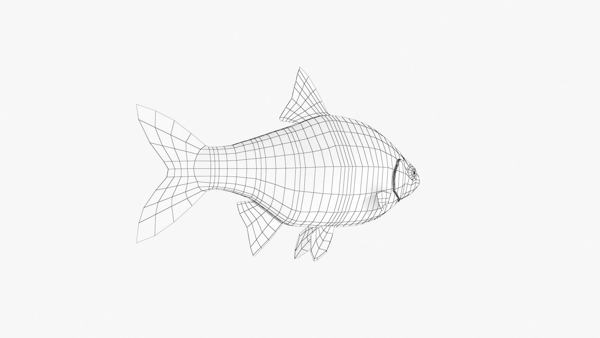 Common Roach 3D Model - TurboSquid 1734860