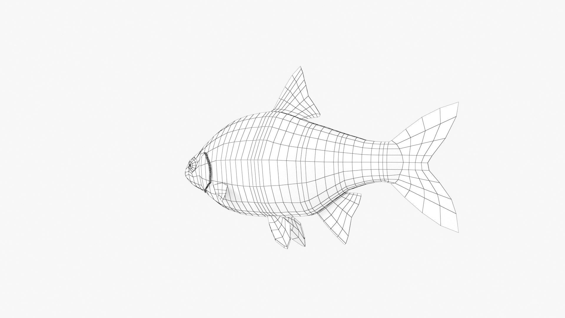 Common Roach 3D Model - TurboSquid 1734860