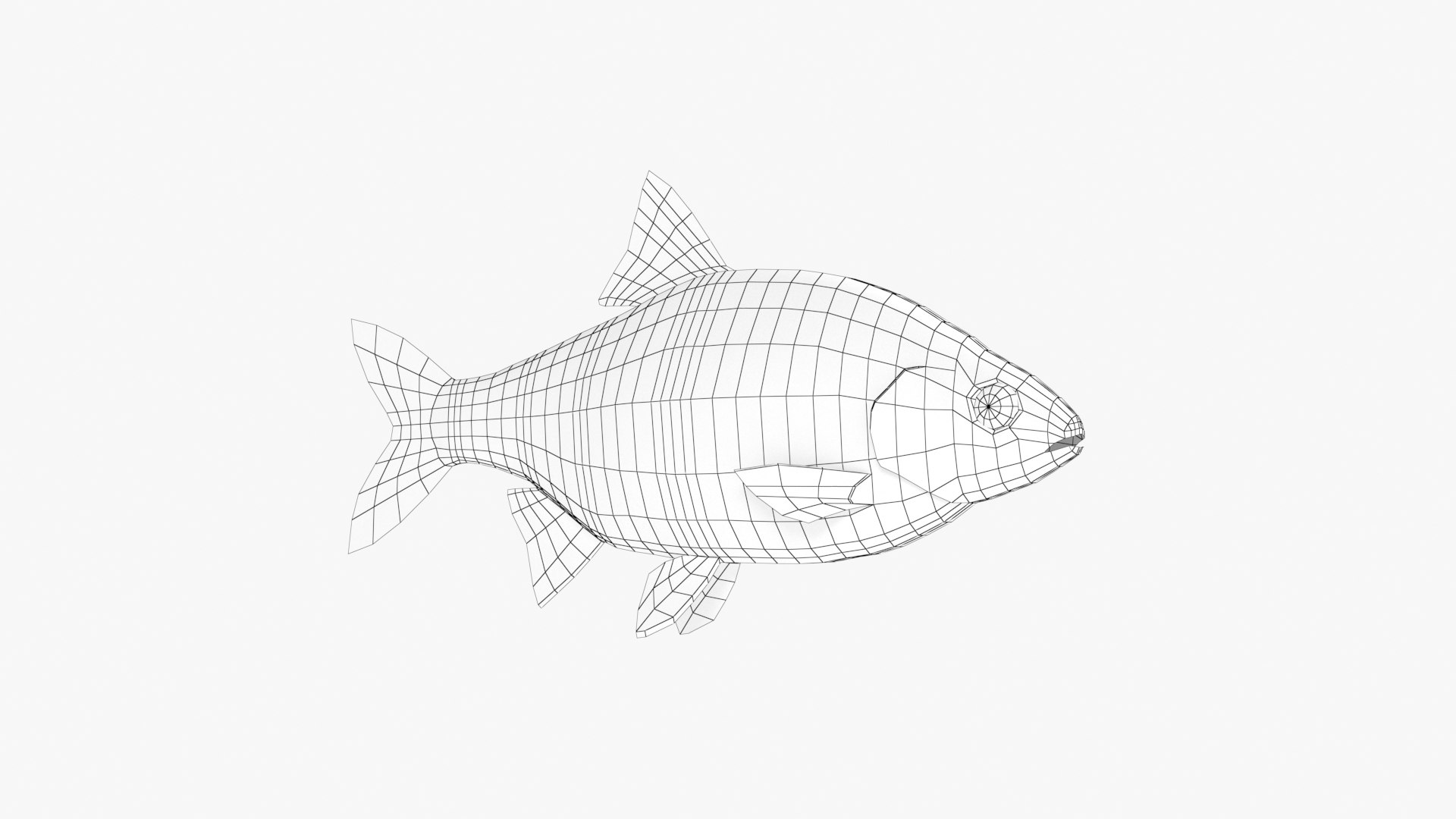 Common Roach 3D Model - TurboSquid 1734860