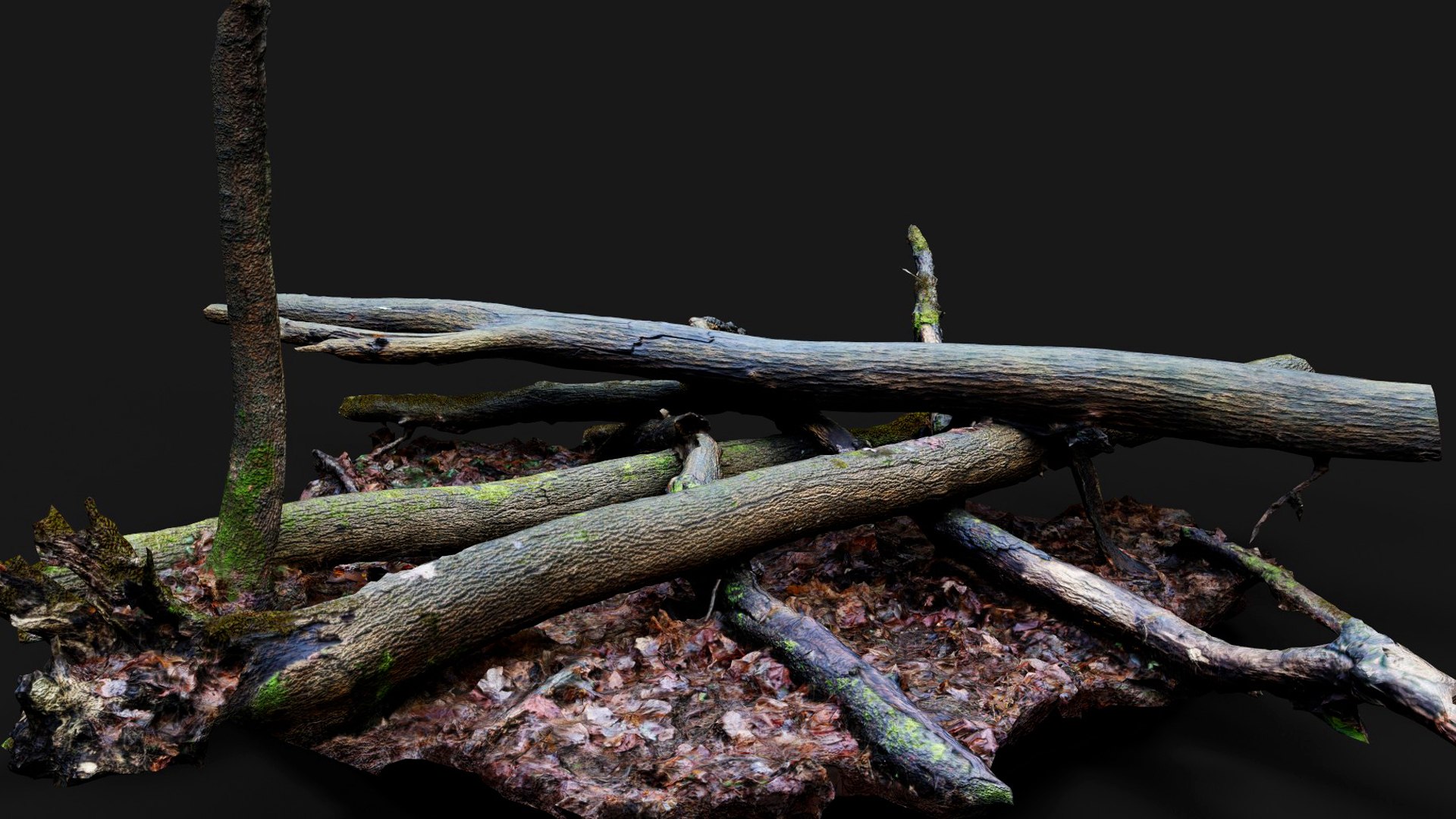 3D Model Forest Ground Trees Mossy Trunks Debris Pt8 Photogrammetry ...