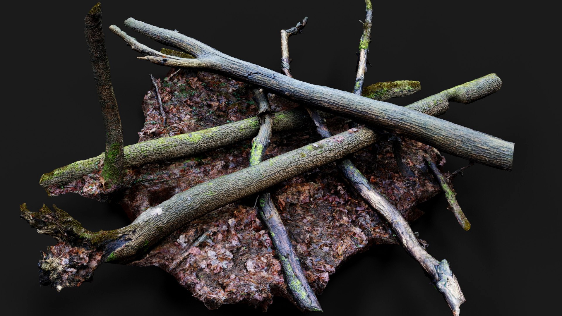 3D Model Forest Ground Trees Mossy Trunks Debris Pt8 Photogrammetry ...
