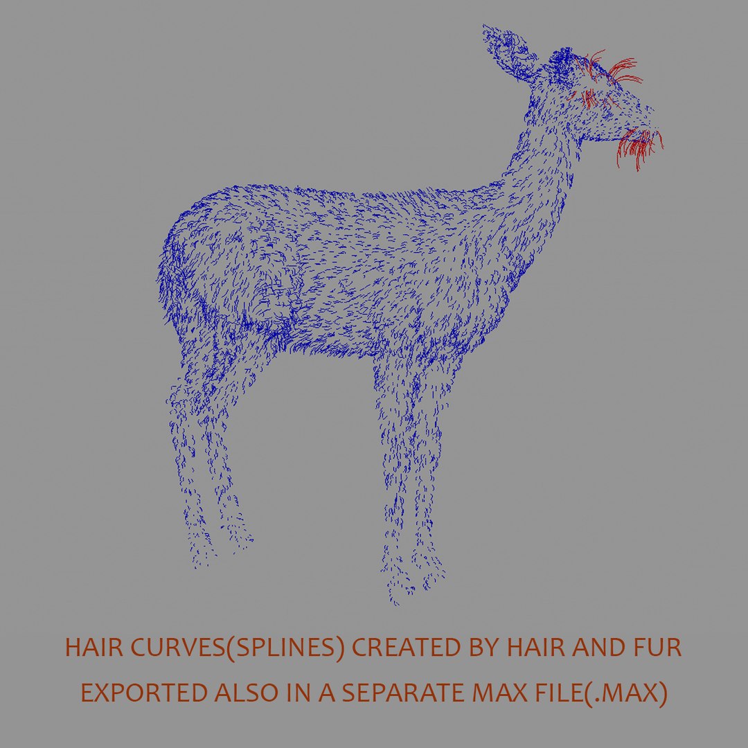 3d White Tailed Doe Fur