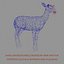 3d White Tailed Doe Fur