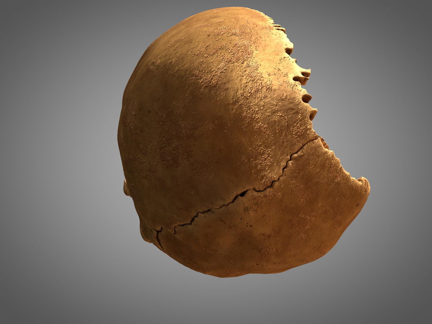 3D Ancient Shattered Human Skull - TurboSquid 1329350