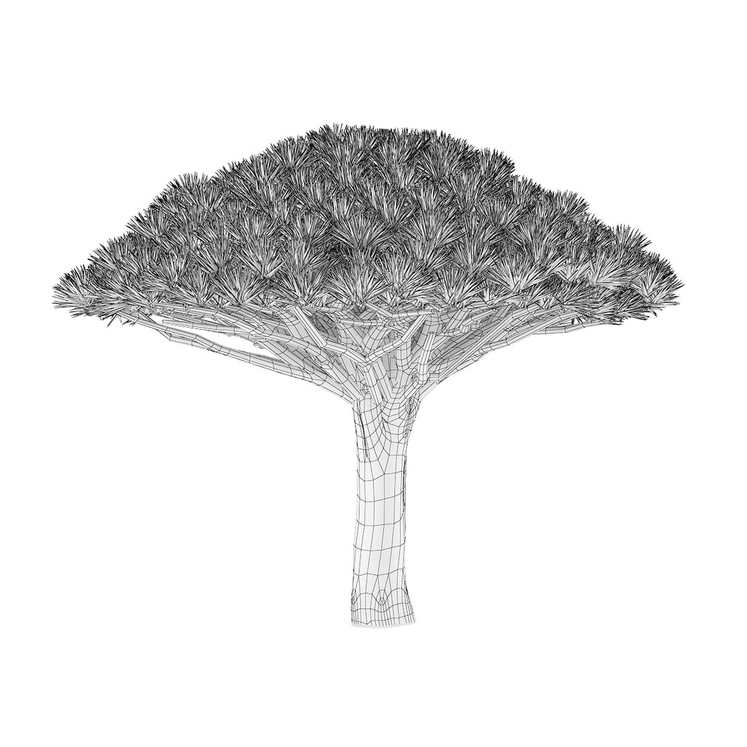 3D Dragon Tree Model - TurboSquid 1205259