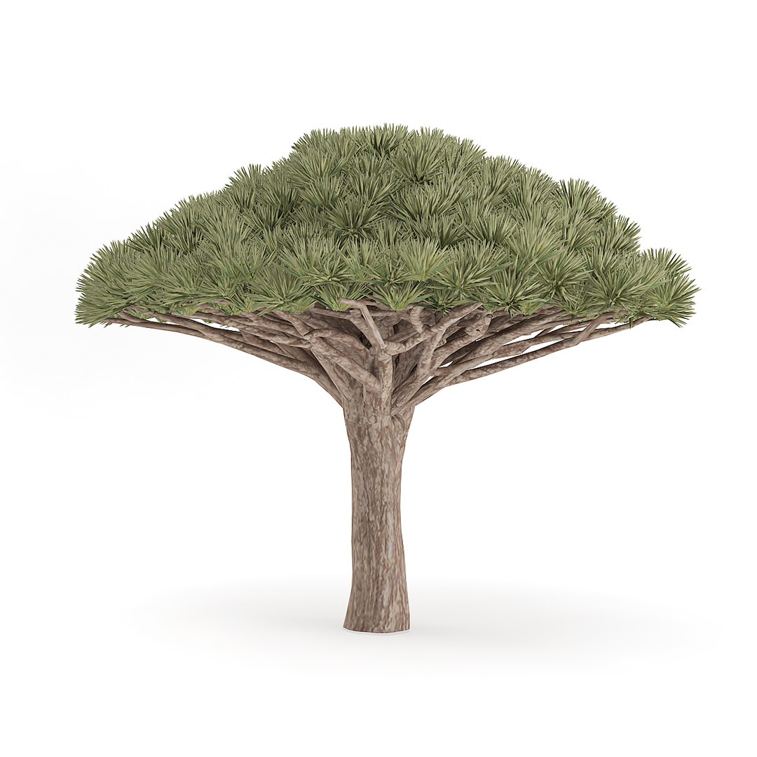 3D Dragon Tree Model - TurboSquid 1205259