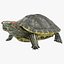 3d Turtles 2 Modeled