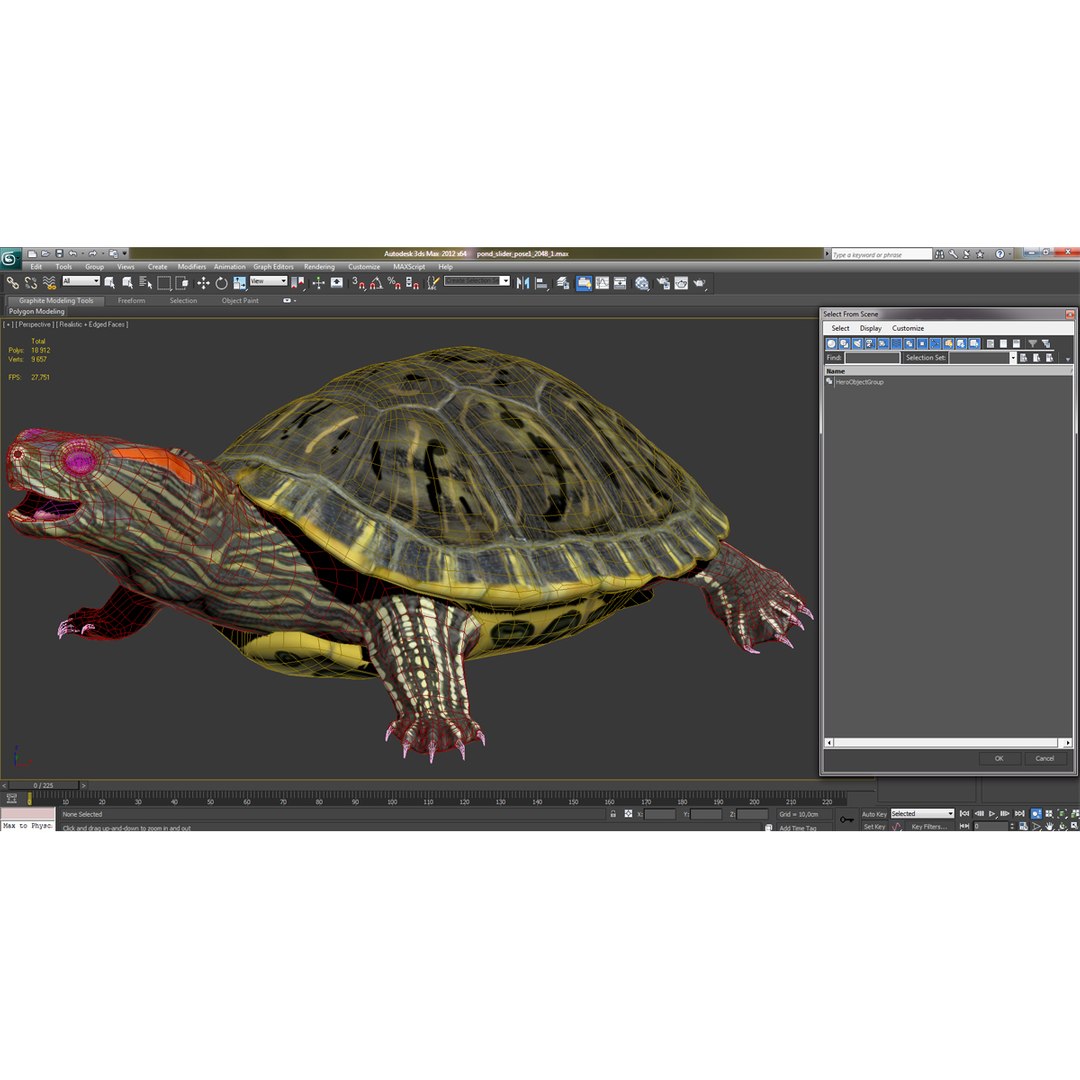 pond slider turtle pose 3d model