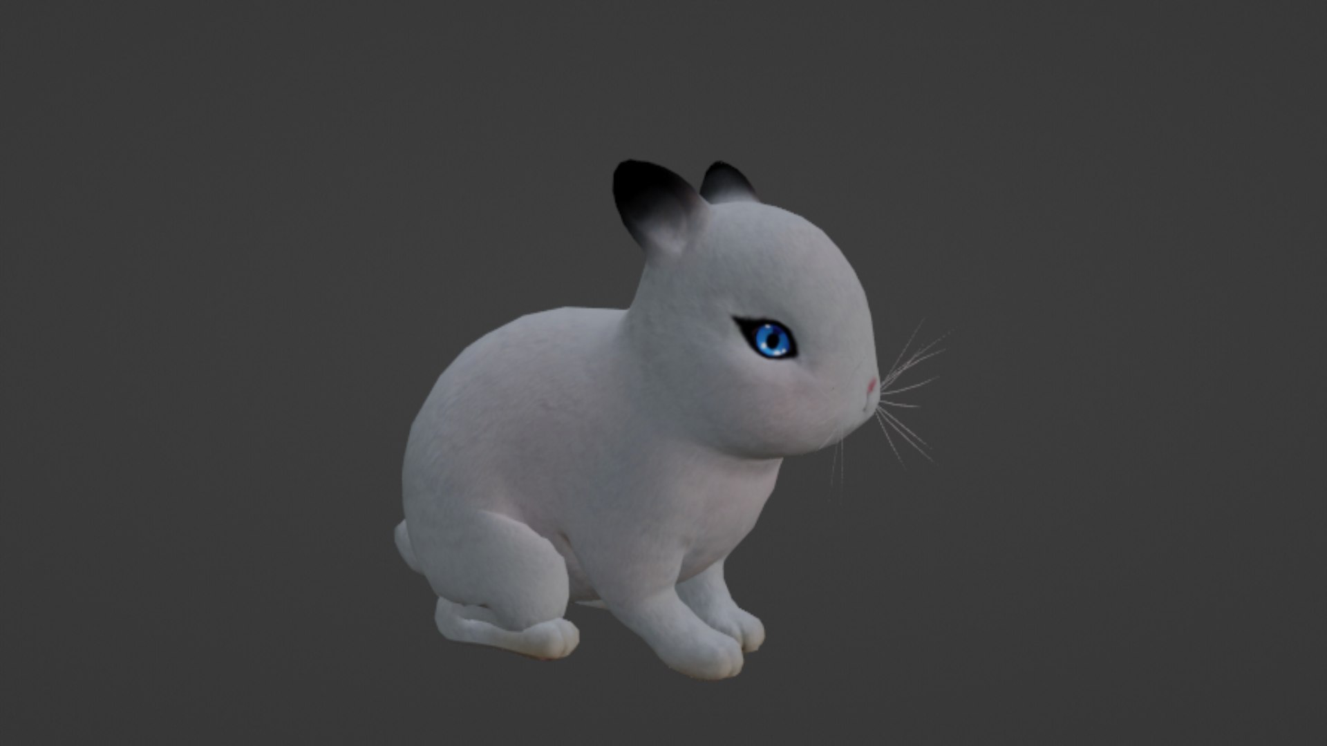 3D Rabbit - TurboSquid 2056420
