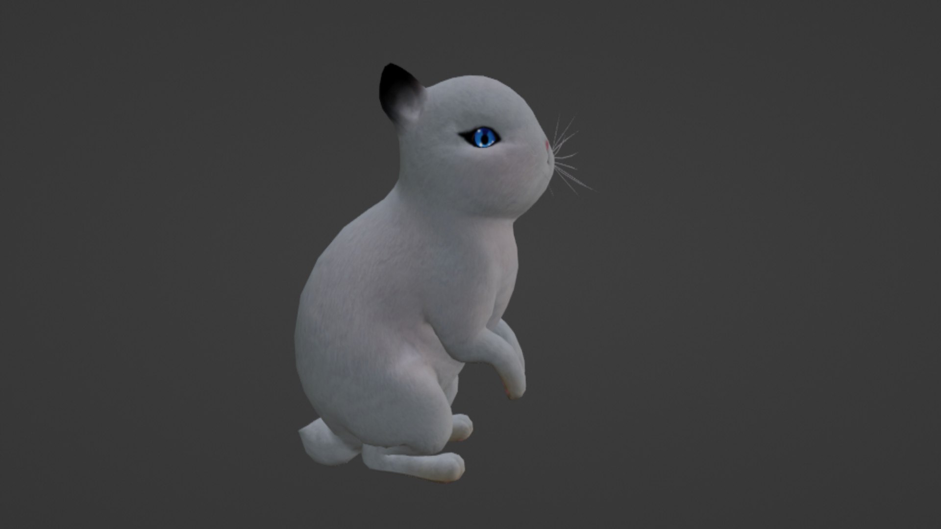 3D Rabbit - TurboSquid 2056420