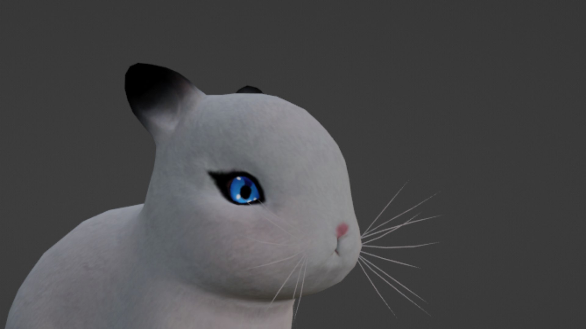 3D Rabbit - TurboSquid 2056420