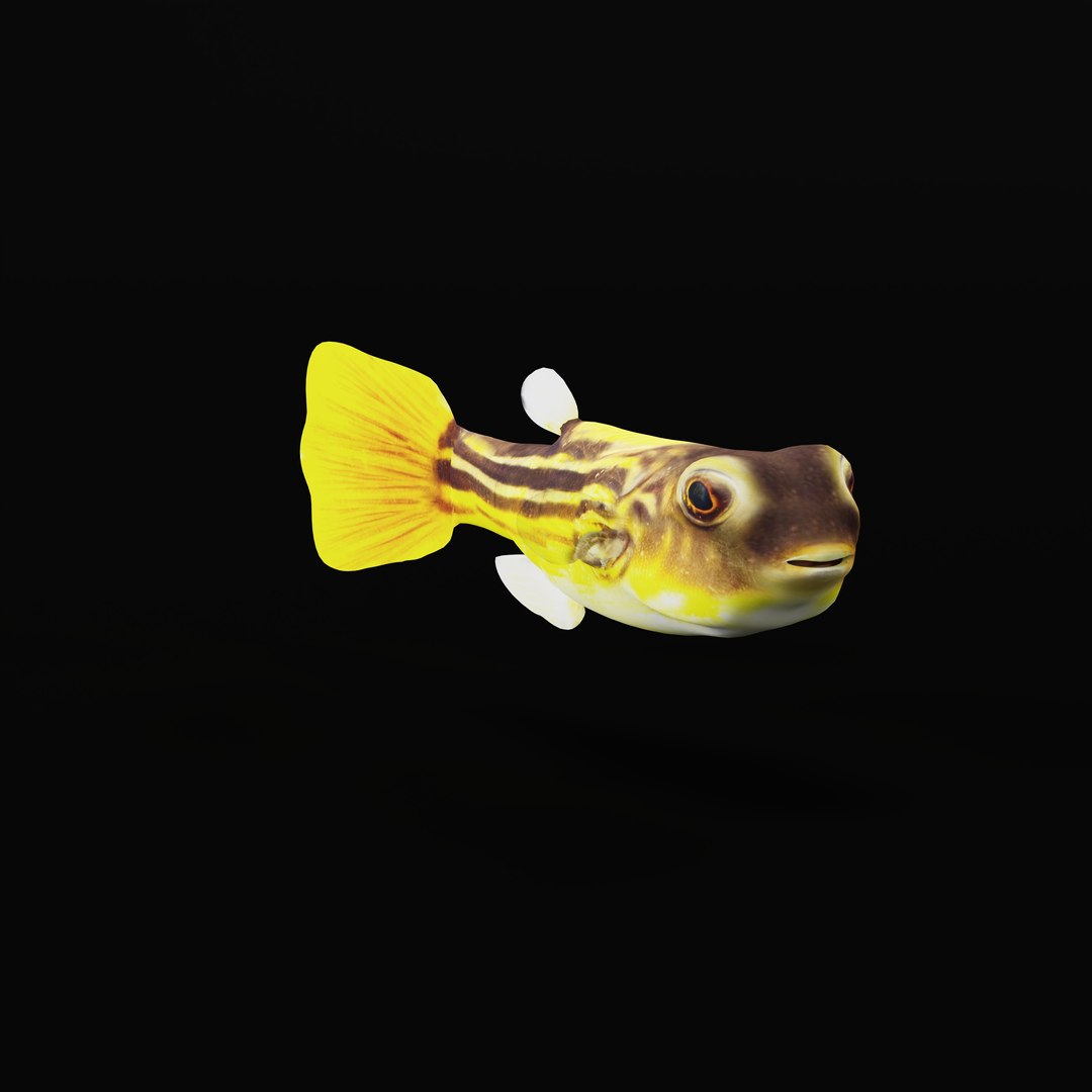 3D Fahaka Nile Pufferfish Model - TurboSquid 2370867