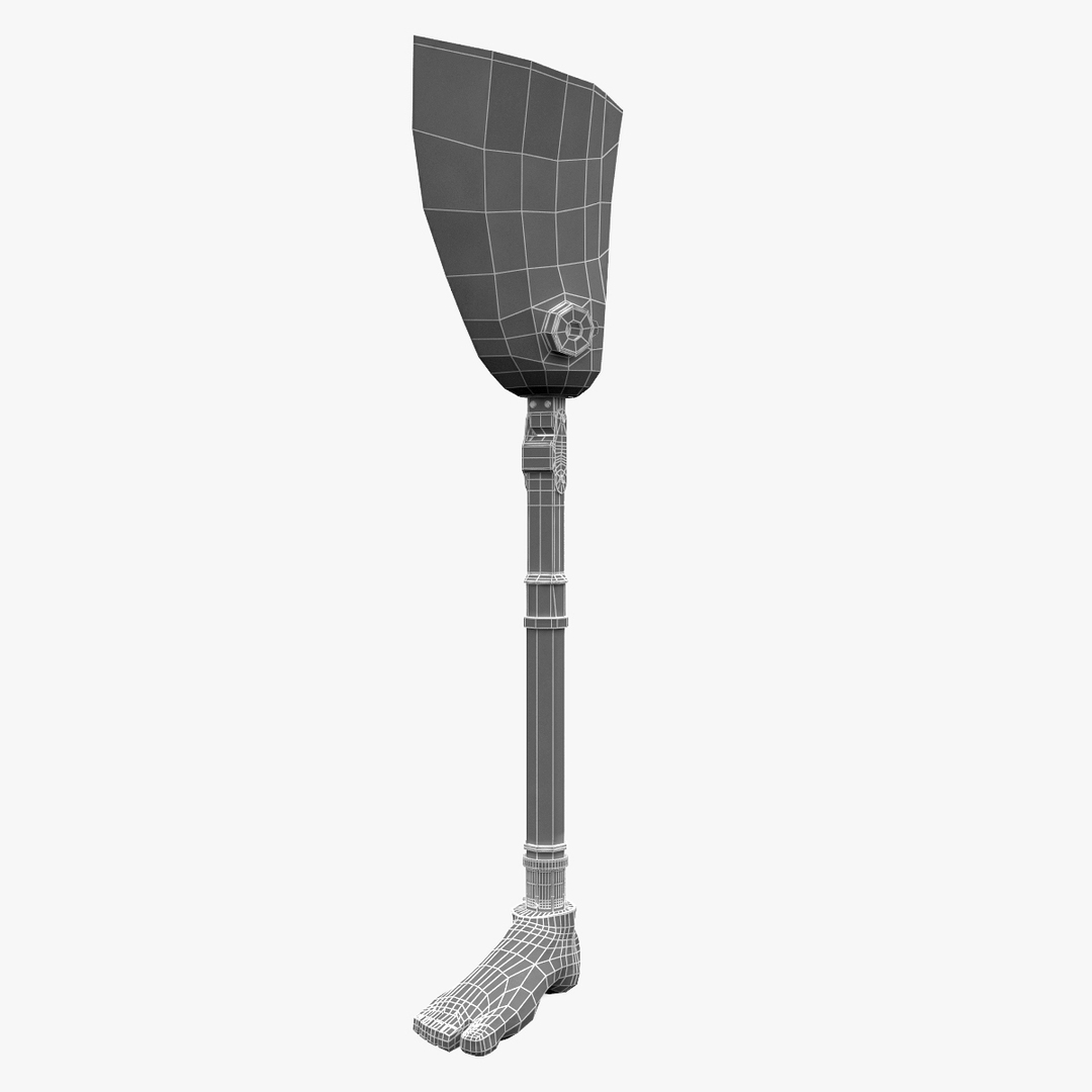 Prosthetic Leg 2 3d Model