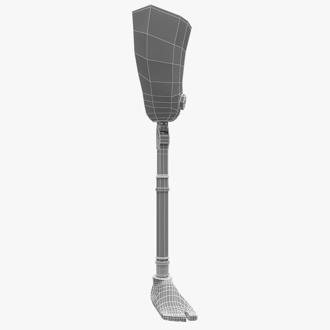 Prosthetic Leg 2 3d Model