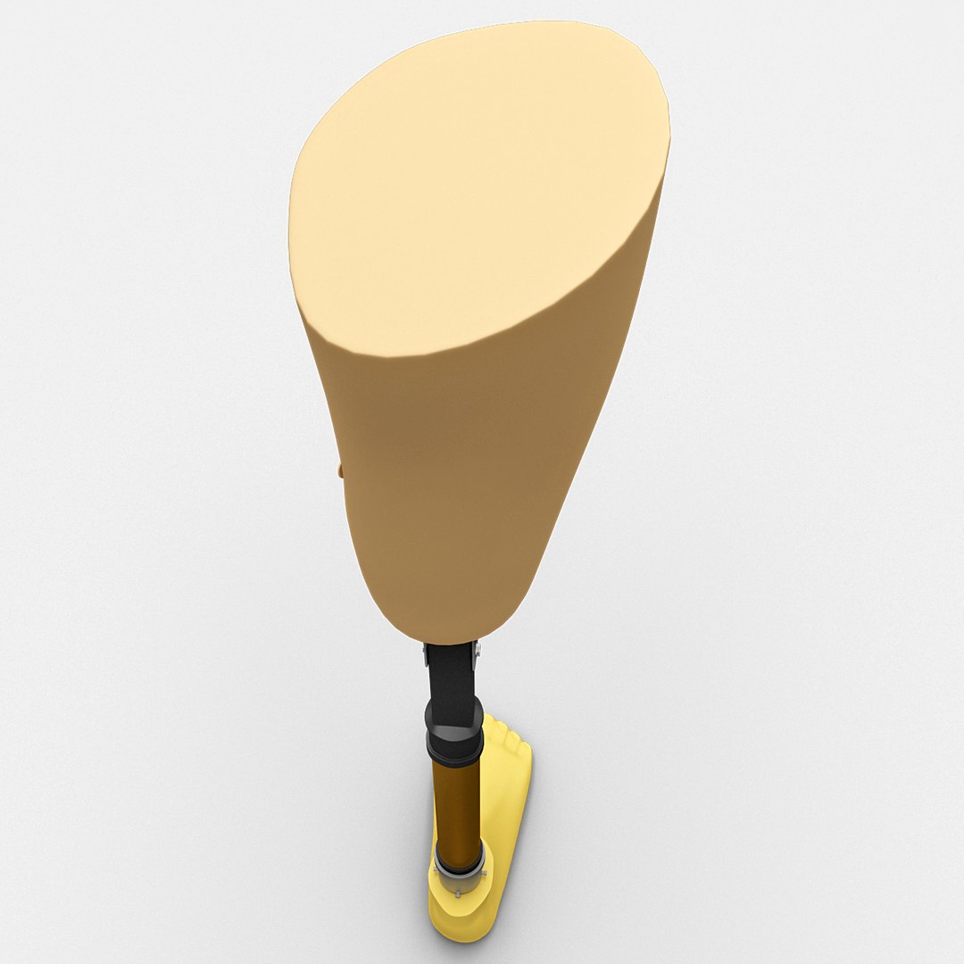 Prosthetic Leg 2 3d Model