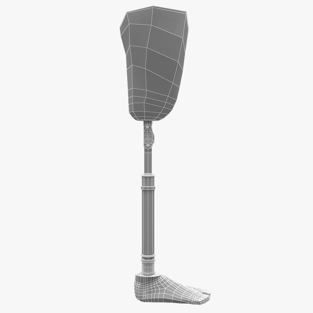 Prosthetic Leg 2 3d Model