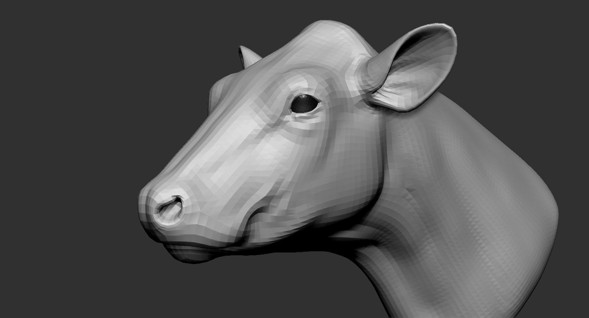 3D Model Cow Head Base Mesh - TurboSquid 1428012
