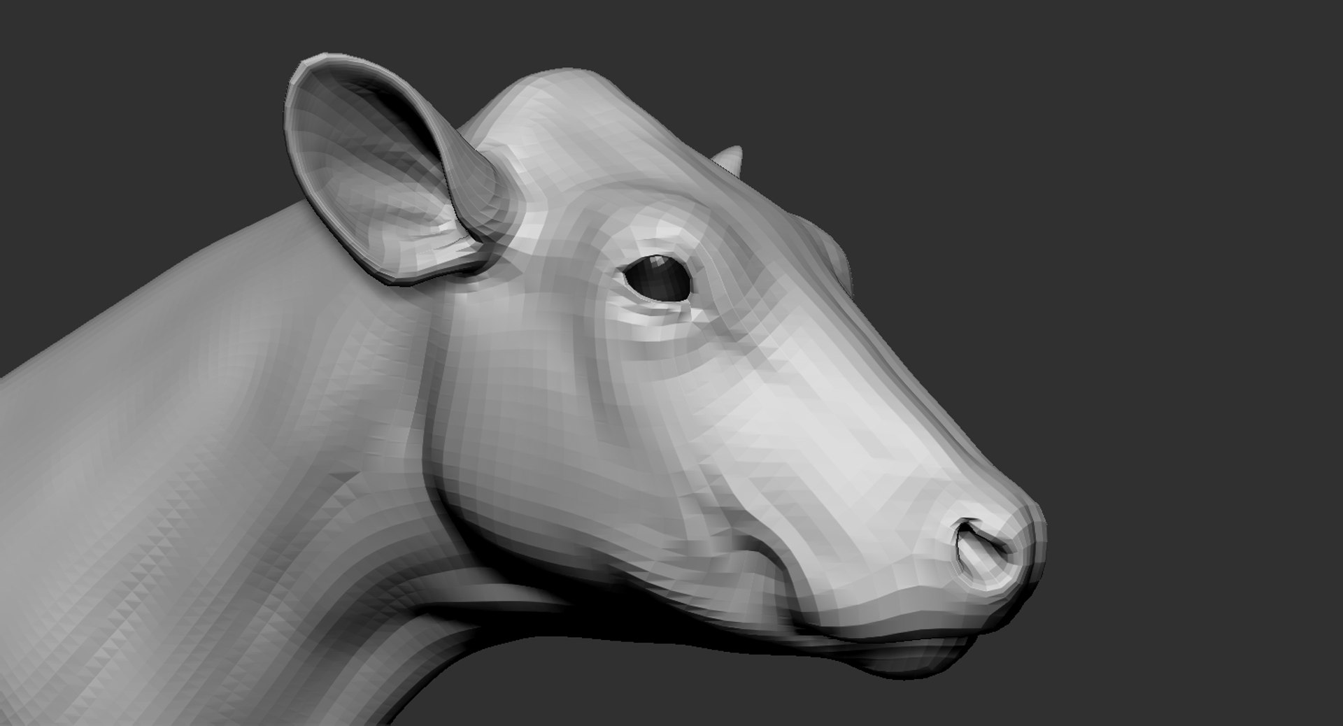3D Model Cow Head Base Mesh - TurboSquid 1428012