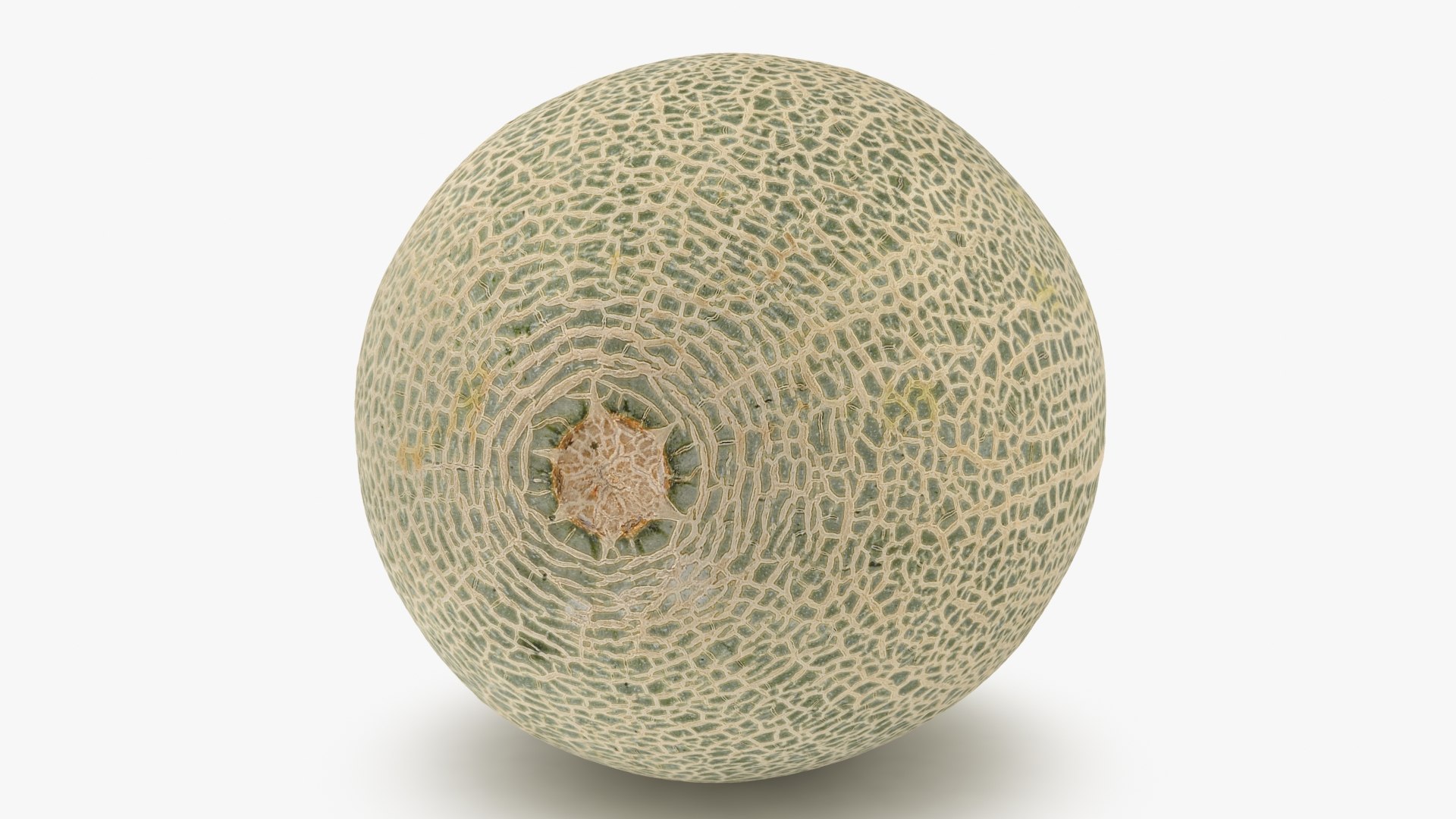 3D Green Melon - TurboSquid 1887201