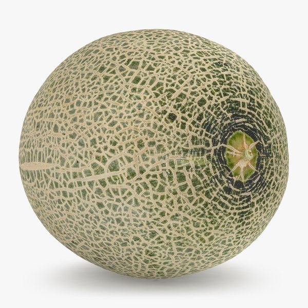3D Green Melon - TurboSquid 1887201
