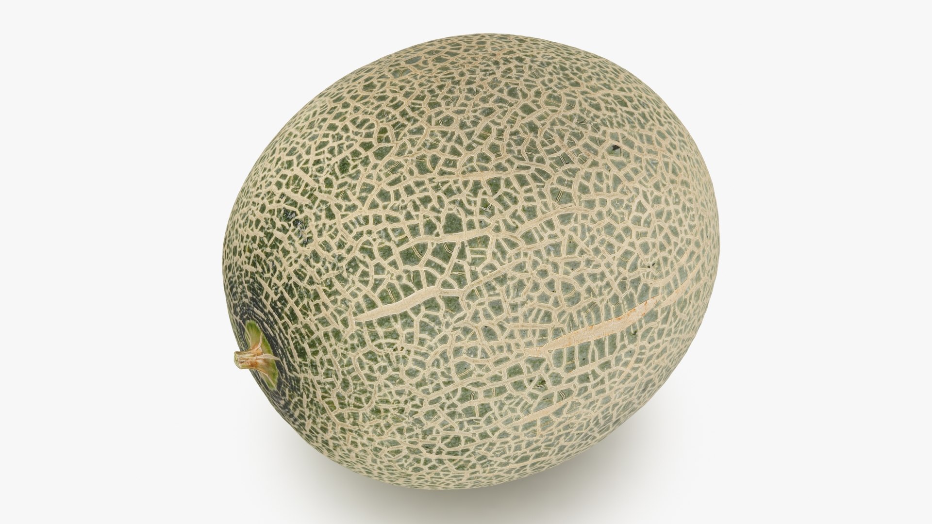 3D Green Melon - TurboSquid 1887201