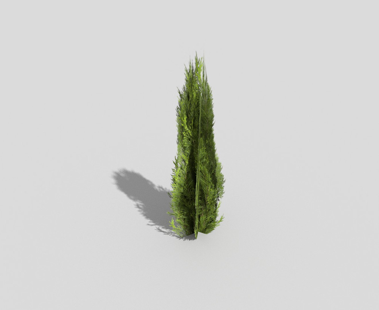 3d Shrub Games
