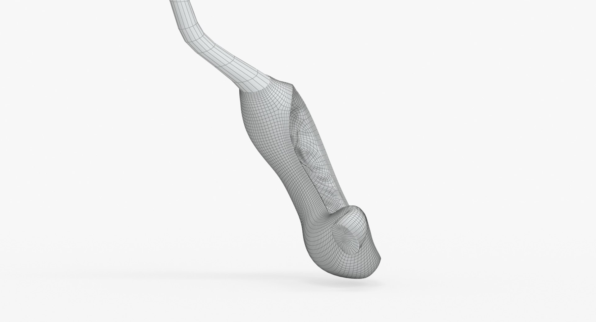 Stomach anatomy model - TurboSquid 1383515