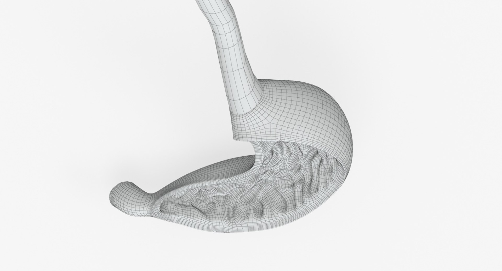 Stomach anatomy model - TurboSquid 1383515