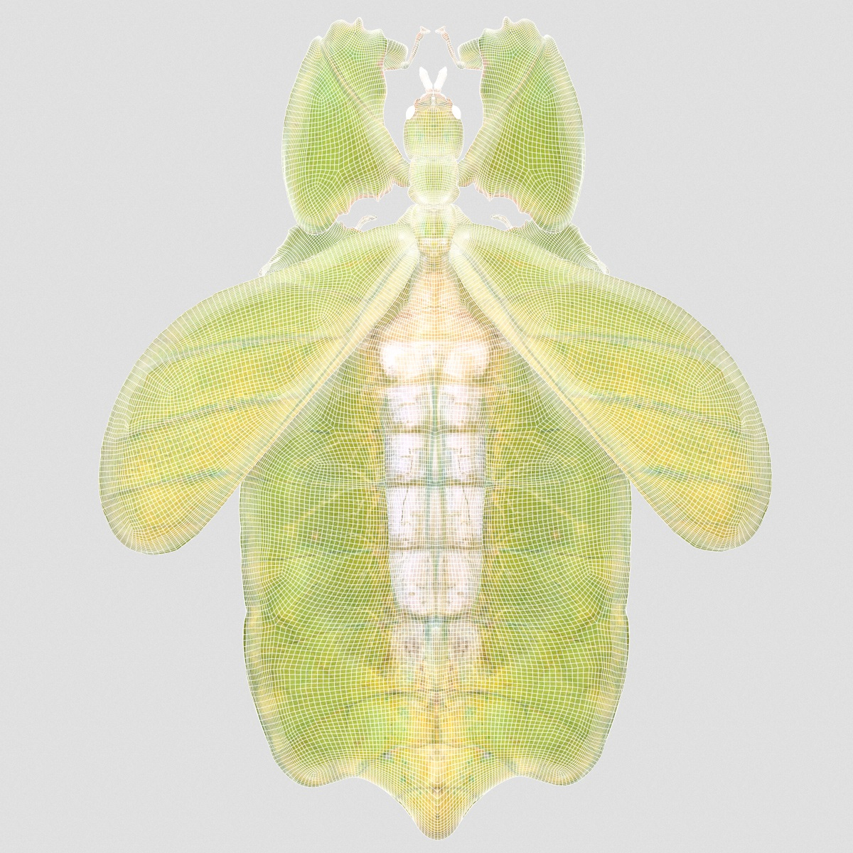 leaf insect walking phylliidae 3d obj