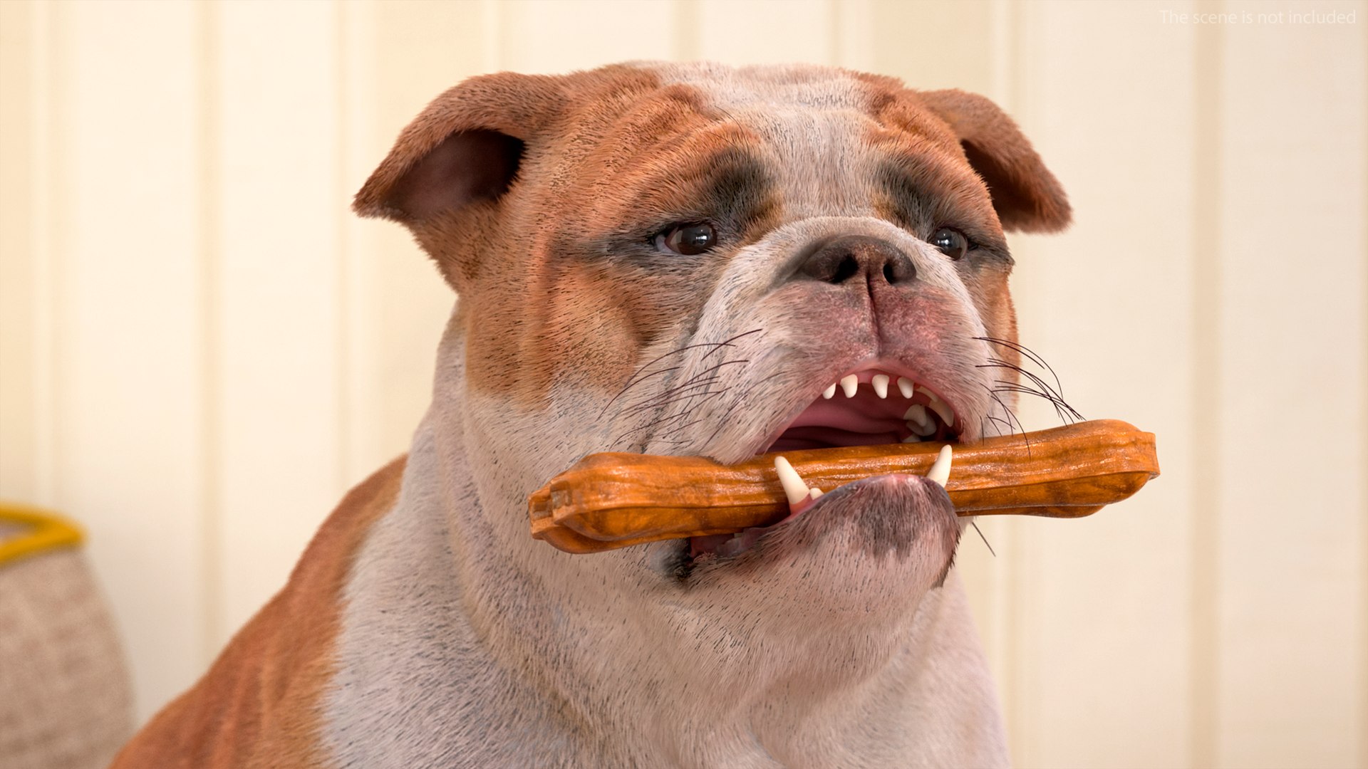 Bulldog With A Chewing Bone In His Mouth Fur 3D Model - TurboSquid 2252286