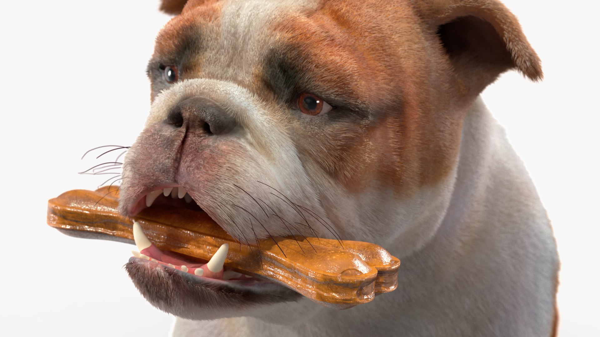 Bulldog With A Chewing Bone In His Mouth Fur 3D Model - TurboSquid 2252286