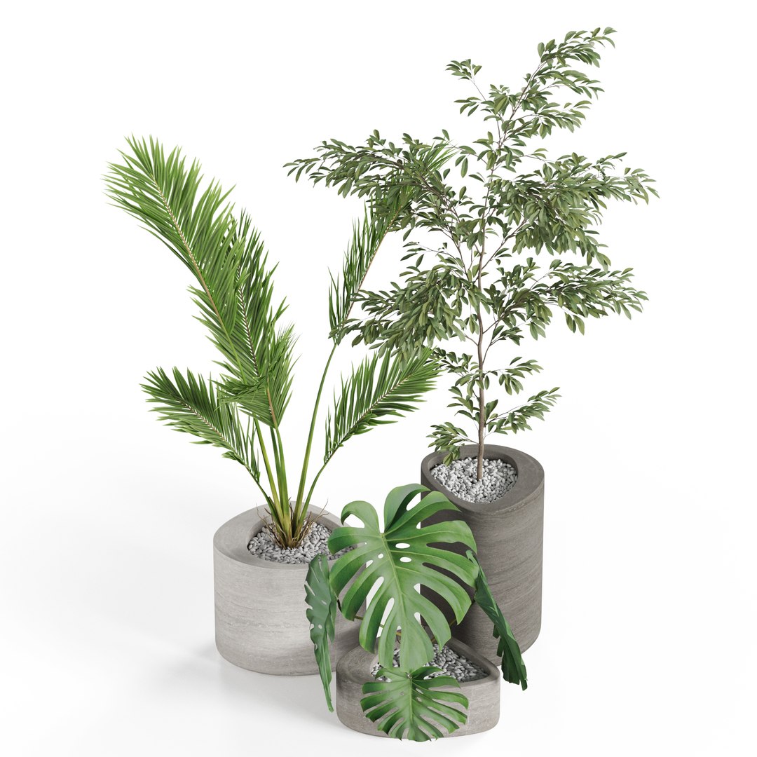 3D Plants collection 932 - TurboSquid 2057888