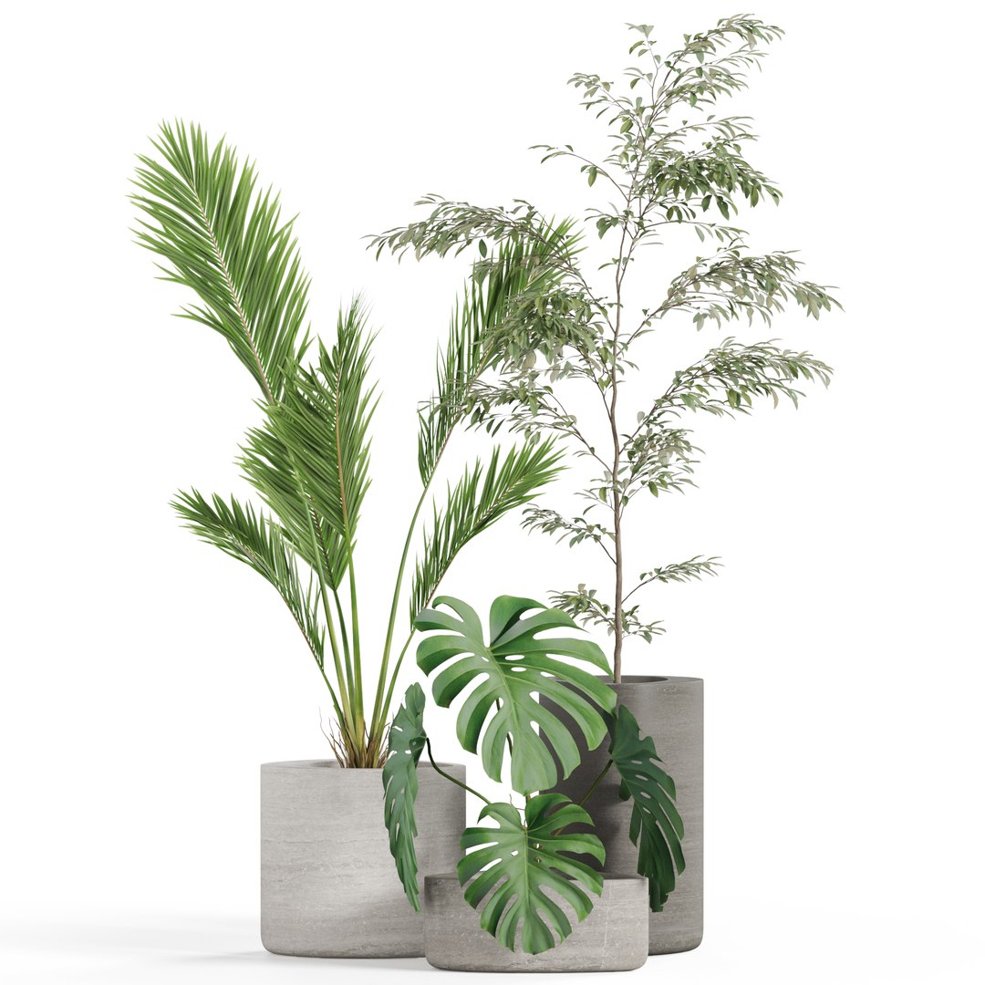 3D Plants collection 932 - TurboSquid 2057888