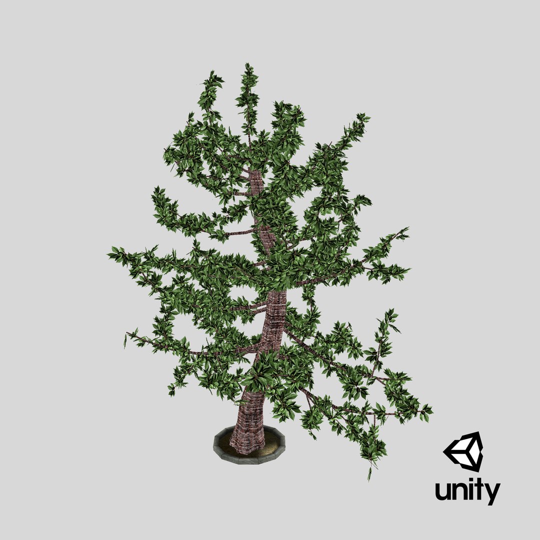 Cherry Tree 3D Model - TurboSquid 2197987