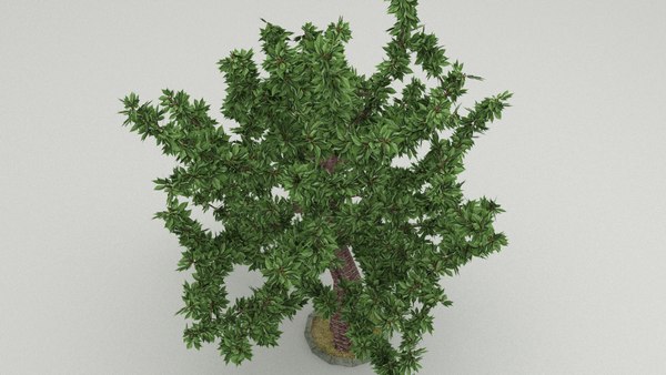 modelo 3d Cerezo - TurboSquid 2197987