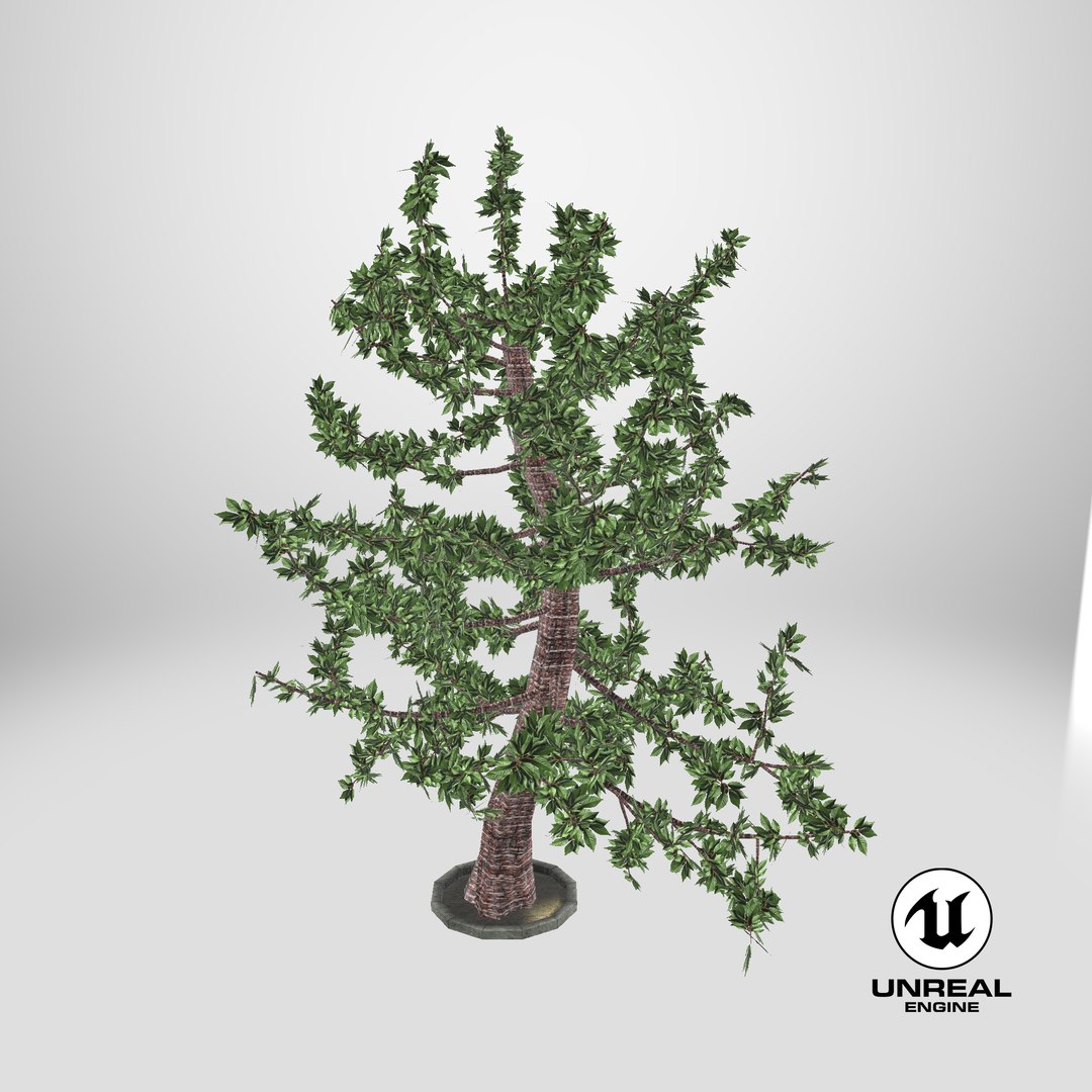 Cherry Tree 3D Model - TurboSquid 2197987