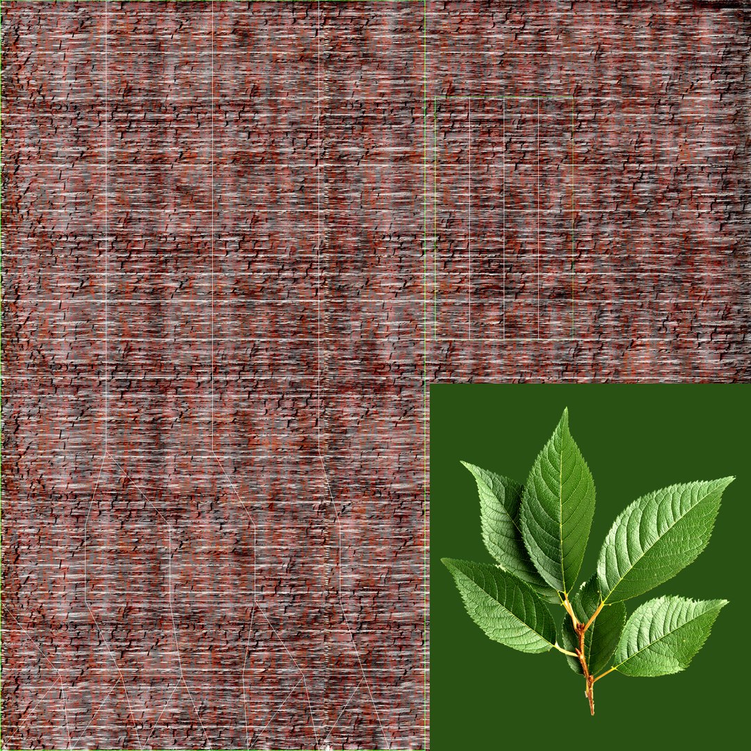 Cherry Tree 3D Model - TurboSquid 2197987